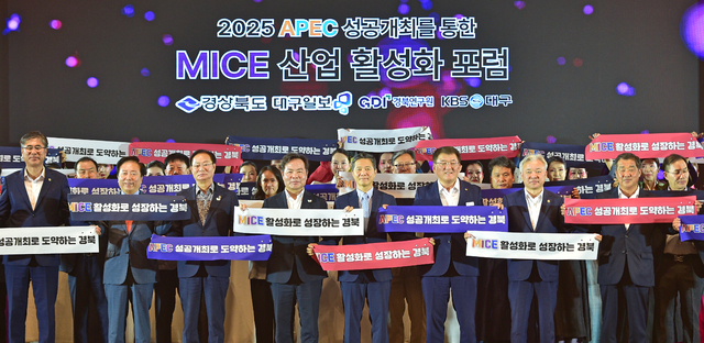 포스트 APEC MICE, 경북의 미래 될 수 있다 - 대구일보