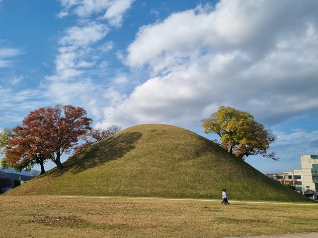 [경주 APEC D-30] 경북도·경주시 글로벌 당당히 등장한다! - 대구일보
