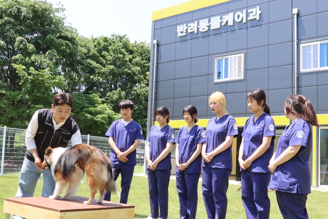 구미대, 동물보건사 양성기관 평가인증…반려동물 의료 전문인재 양성 본격화 - 대구일보